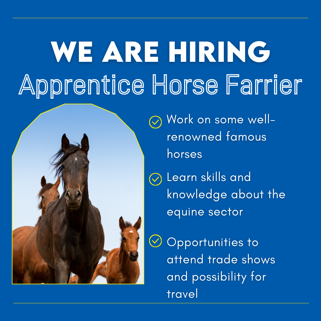 Careers - Apprenticeships, Traineeships and Opportunities - St Edward's ...